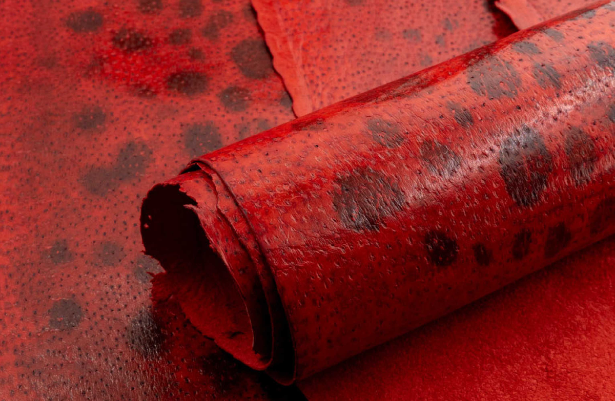 Nordic Fish Leather. Sustainable leather - Leatherbox