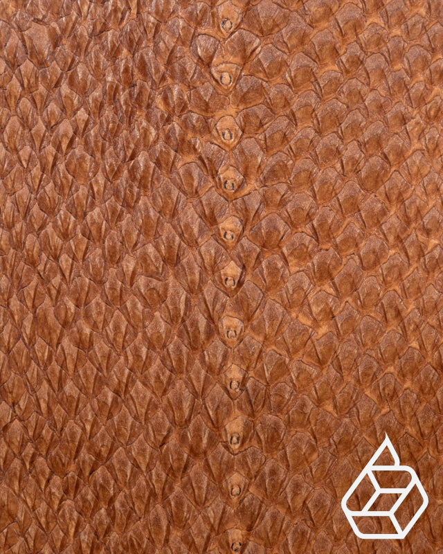 Fish leather with closed scales and silk gloss | Salmon